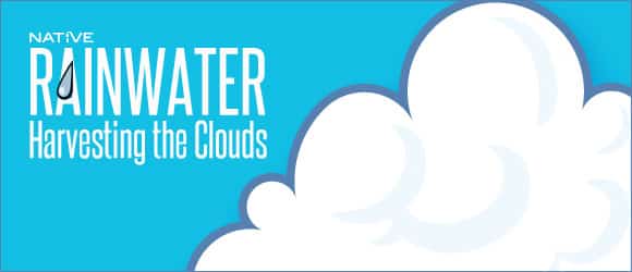 Harvesting the Clouds for Rainwater | Rainwater Collection