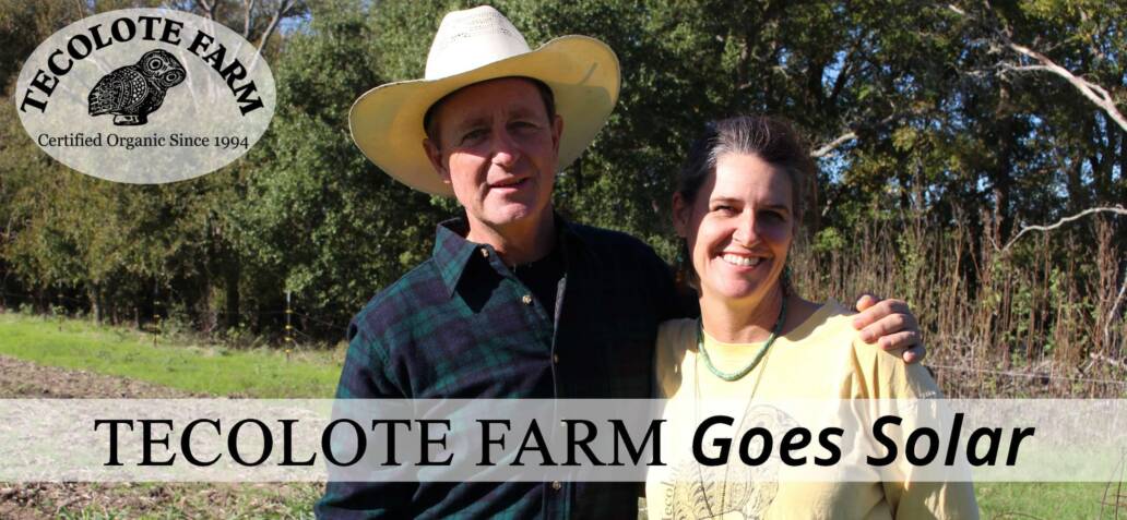 Tecolote Farm - Certified Organic Pioneer in Texas Goes Solar